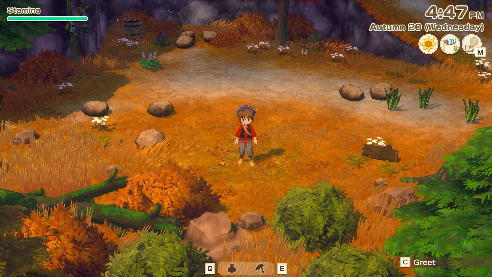 Insect Instruction for Experts (Request) - Story of Seasons: Grand ...