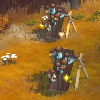 Mushrooms & Spores - Story of Seasons: Grand Bazaar - StratsWiki