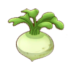 Turnip Salad - Story of Seasons: Grand Bazaar - StratsWiki