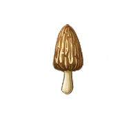 Mushrooms & Spores - Story of Seasons: Grand Bazaar - StratsWiki