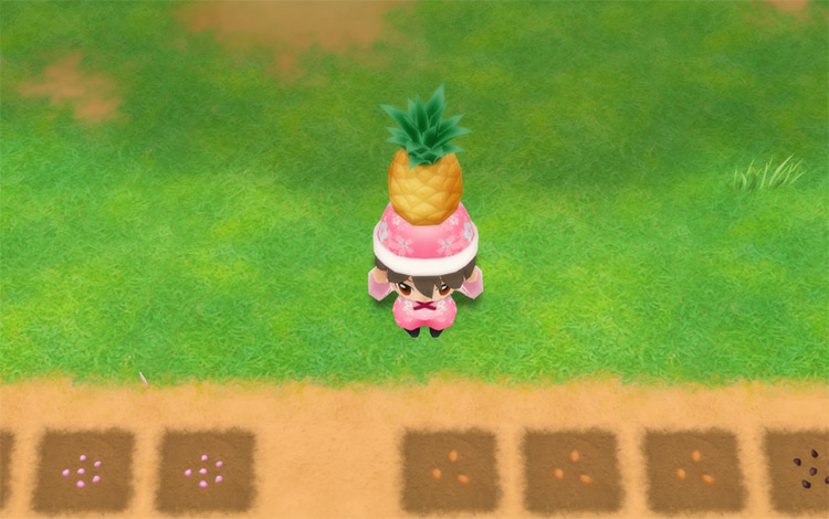 Most Profitable Crops To Grow - Story of Seasons: FoMT - StratsWiki