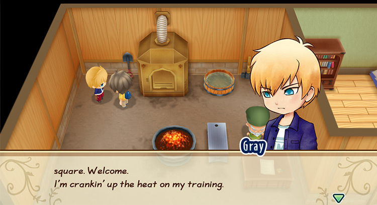 Dating & Romance Guide - Story of Seasons: FoMT - StratsWiki